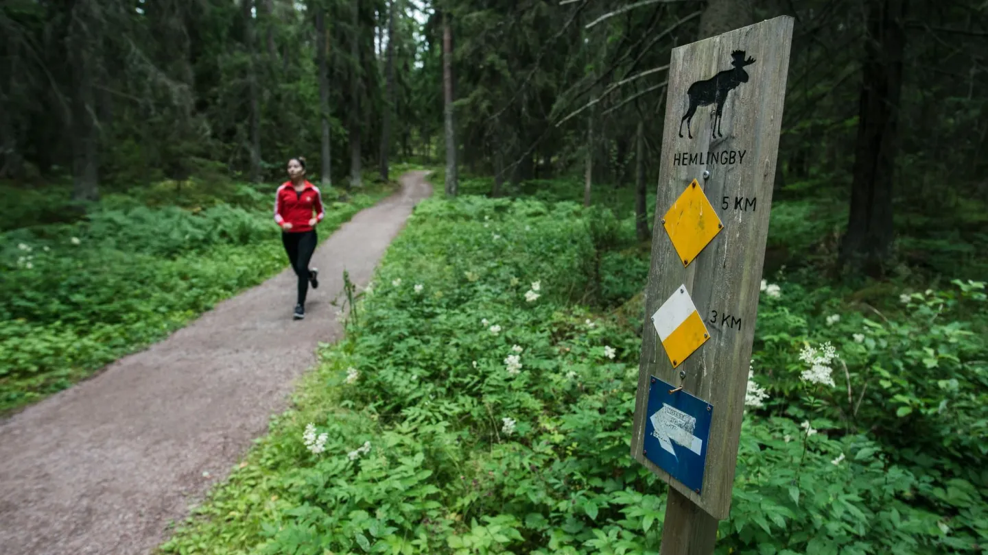 Vandra i Gästrikland | Visit Gävle