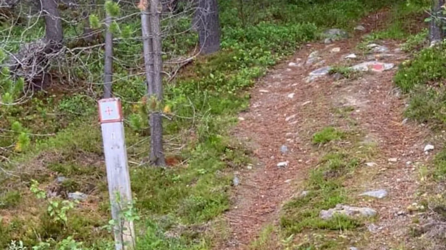 Vandra Helgonleden genom Gävle | Visit Gävle