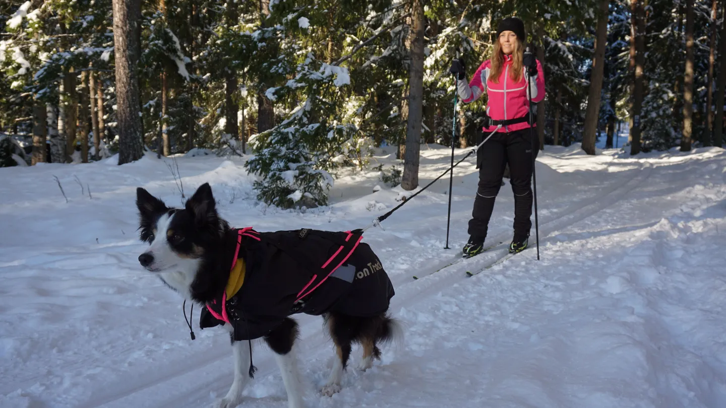 Hemlingby Outdoor Area. | Visit Gävle