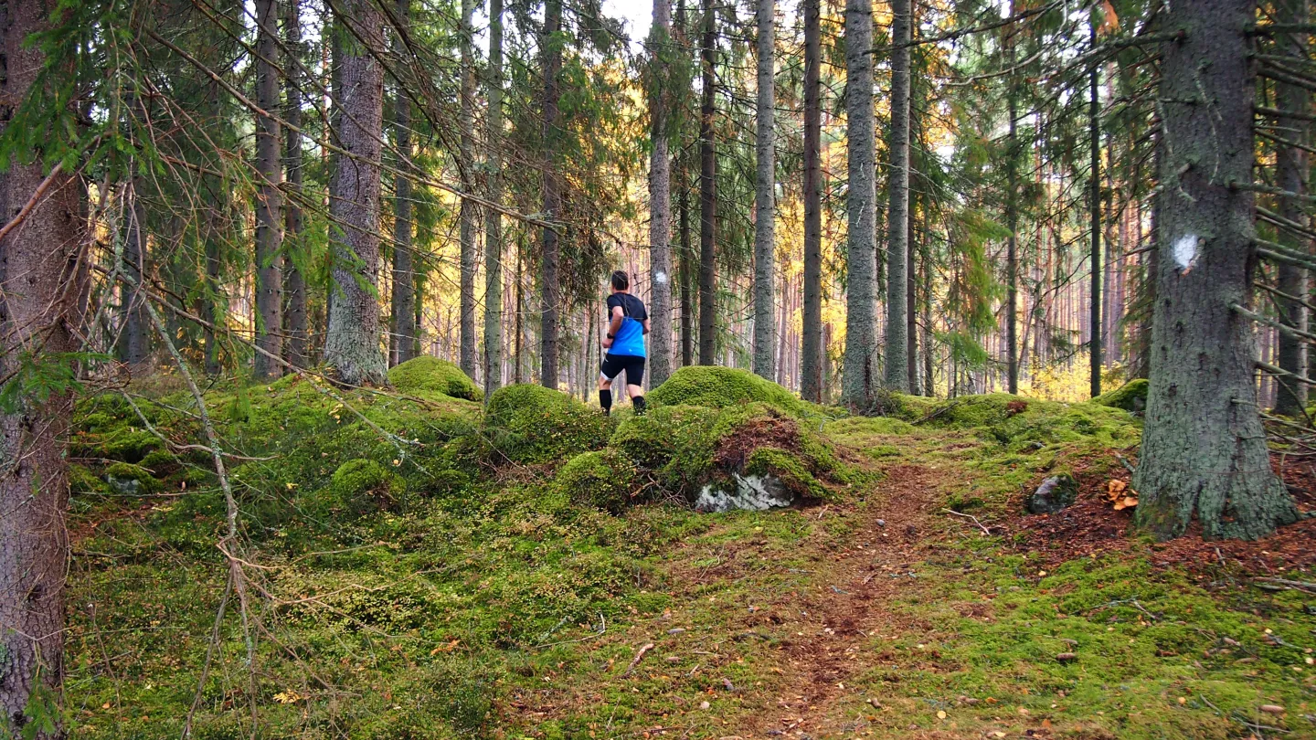 Vandra och spring på Högbo Trail-Arena | Visit Gävle